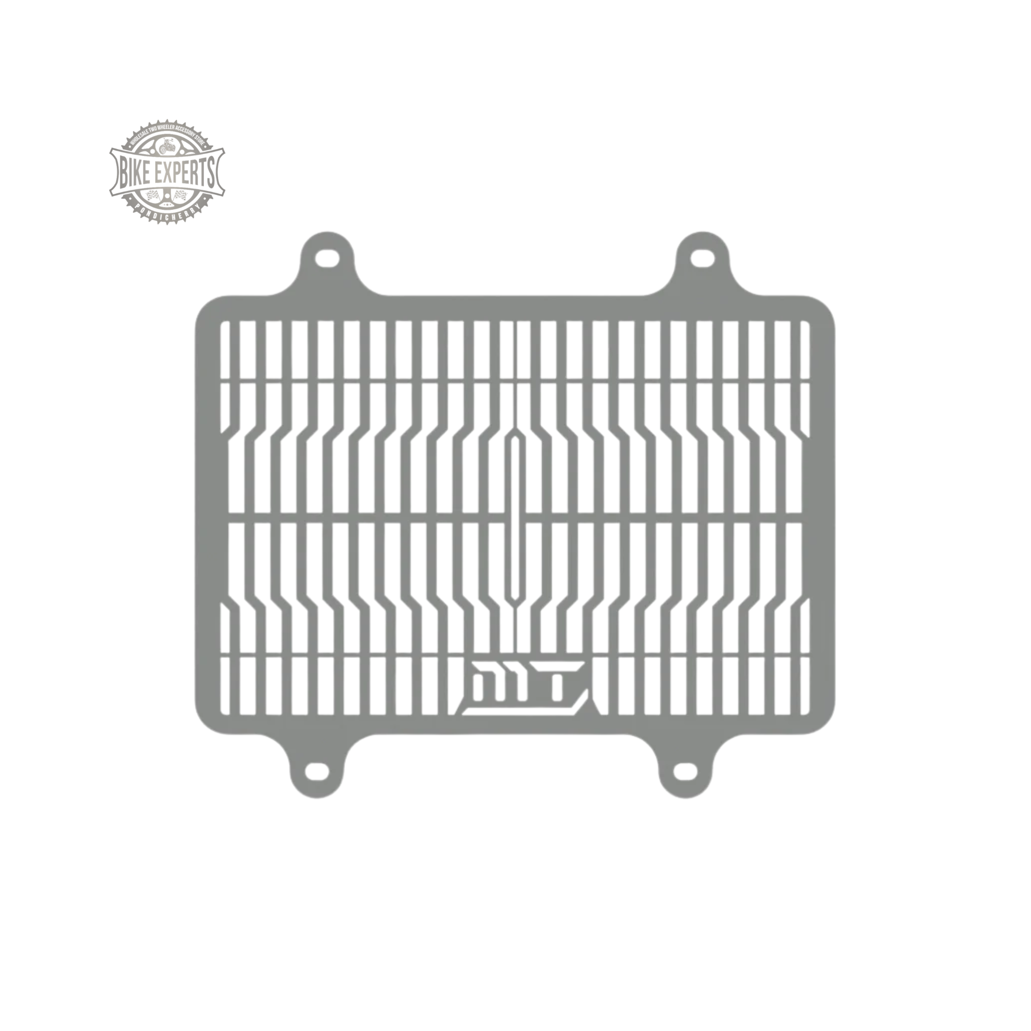 BMW G310 GS | RADIATOR GUARD (Aluminium)